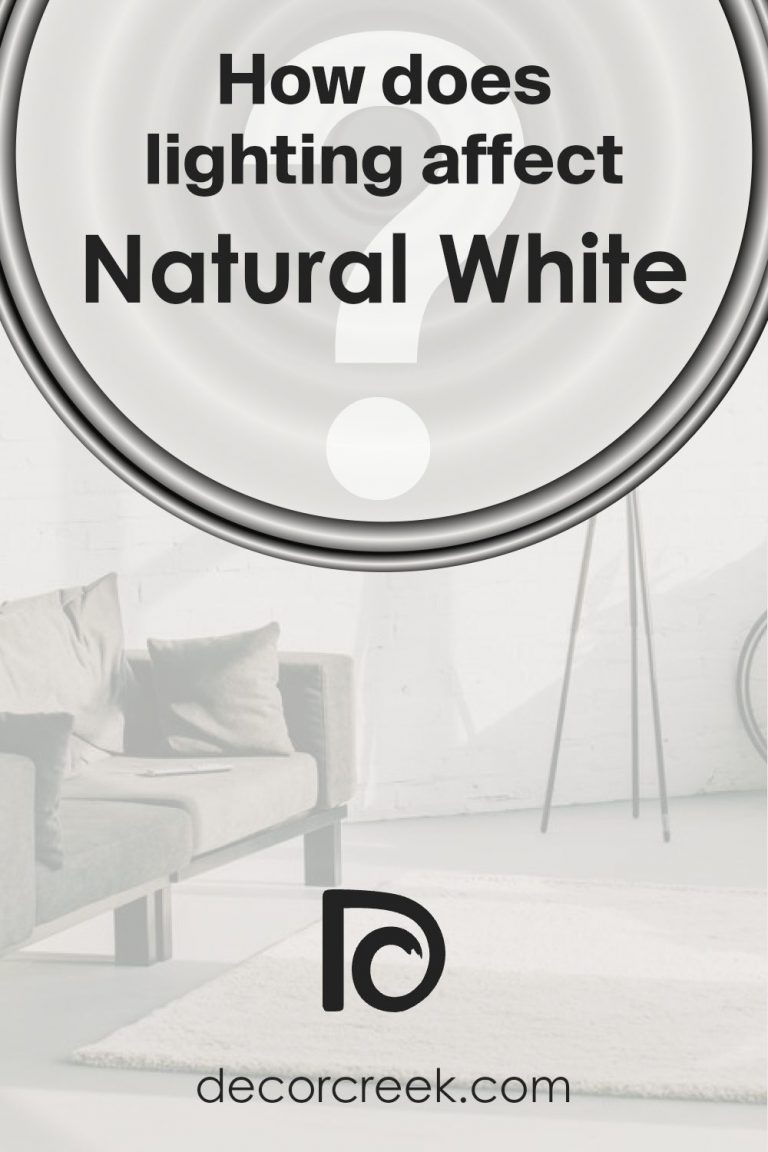 Natural White SW 9542 Paint Color by Sherwin Williams - DecorCreek