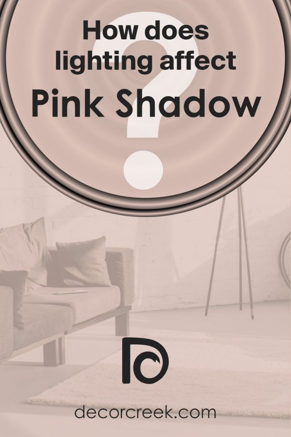 Pink Shadow SW 0070 Paint Color by Sherwin Williams - DecorCreek