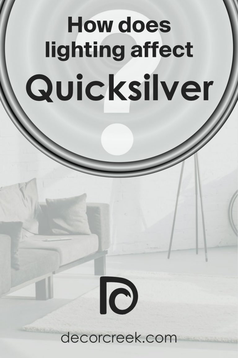 Quicksilver SW 6245 Paint Color by Sherwin Williams - DecorCreek