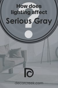 Serious Gray SW 6256 Paint Color by Sherwin Williams - DecorCreek