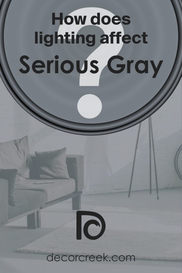 Serious Gray SW 6256 Paint Color by Sherwin Williams - DecorCreek