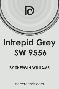 Intrepid Grey SW 9556 Paint Color by Sherwin Williams - DecorCreek