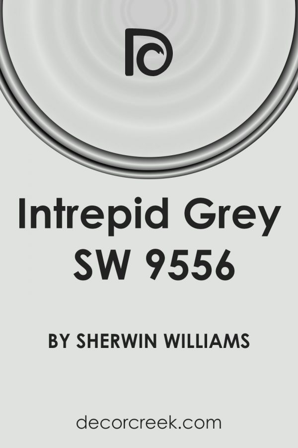Intrepid Grey SW 9556 Paint Color by Sherwin Williams - DecorCreek