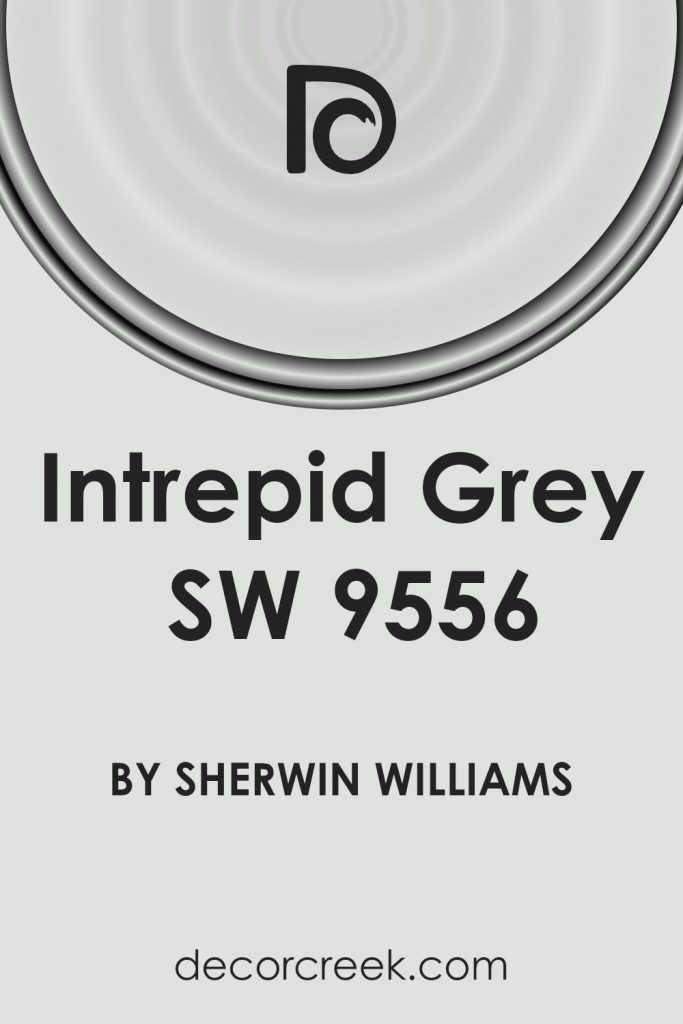 Intrepid Grey SW 9556 Paint Color by Sherwin Williams - DecorCreek