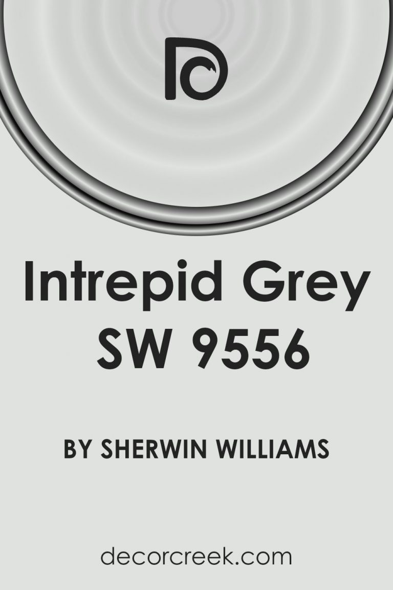 Intrepid Grey SW 9556 Paint Color by Sherwin Williams - DecorCreek