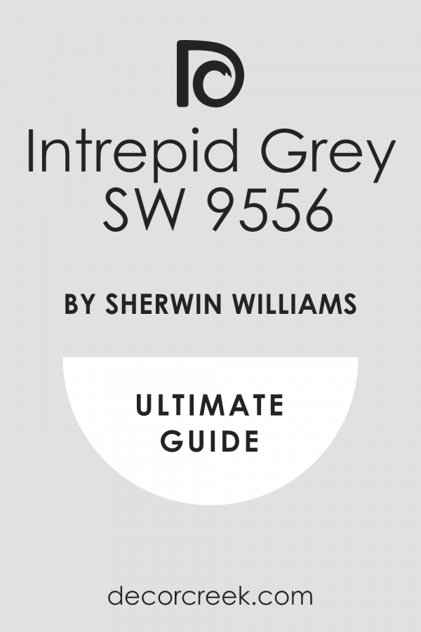 Intrepid Grey SW 9556 Paint Color by Sherwin Williams - DecorCreek