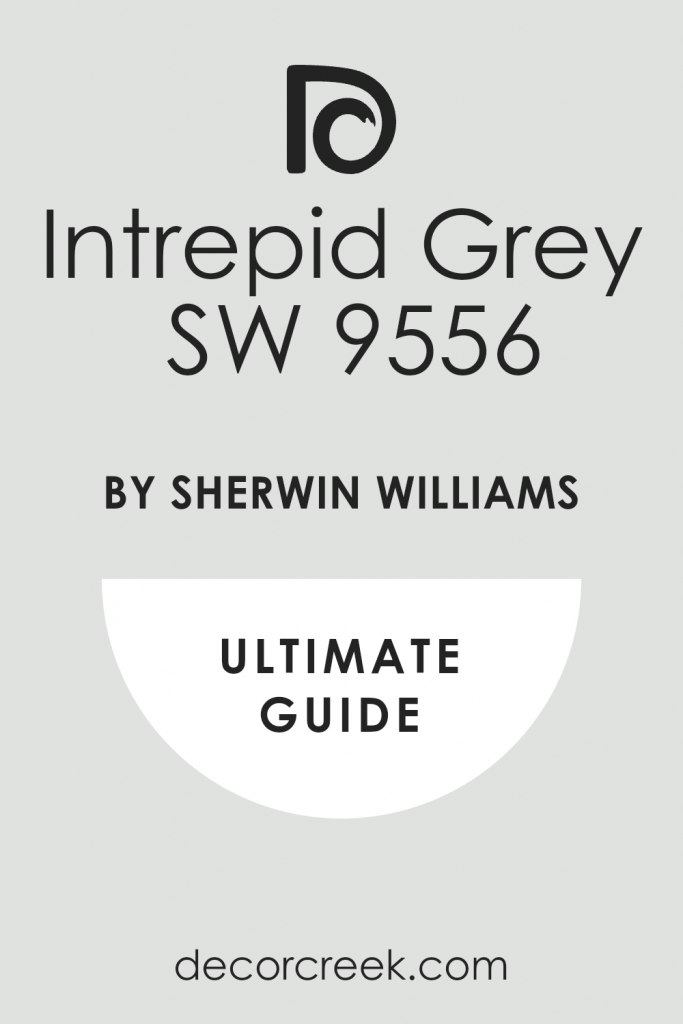 Intrepid Grey SW 9556 Paint Color by Sherwin Williams - DecorCreek