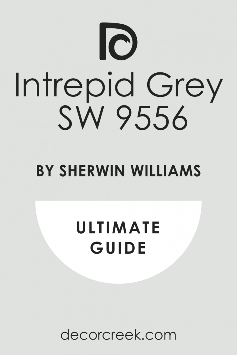 Intrepid Grey SW 9556 Paint Color by Sherwin Williams - DecorCreek