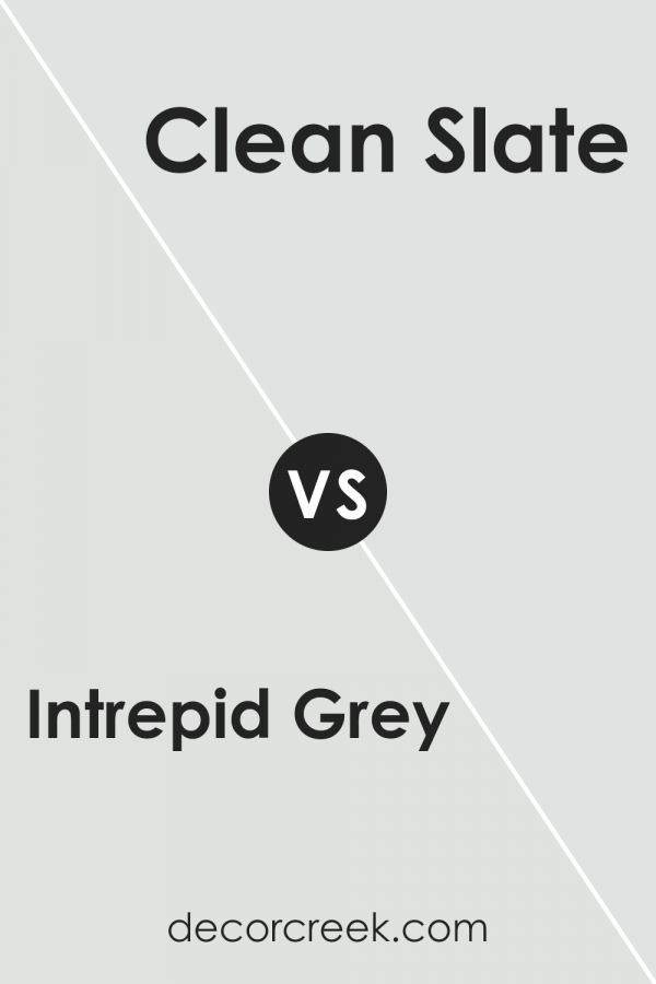 Intrepid Grey SW 9556 Paint Color by Sherwin Williams - DecorCreek
