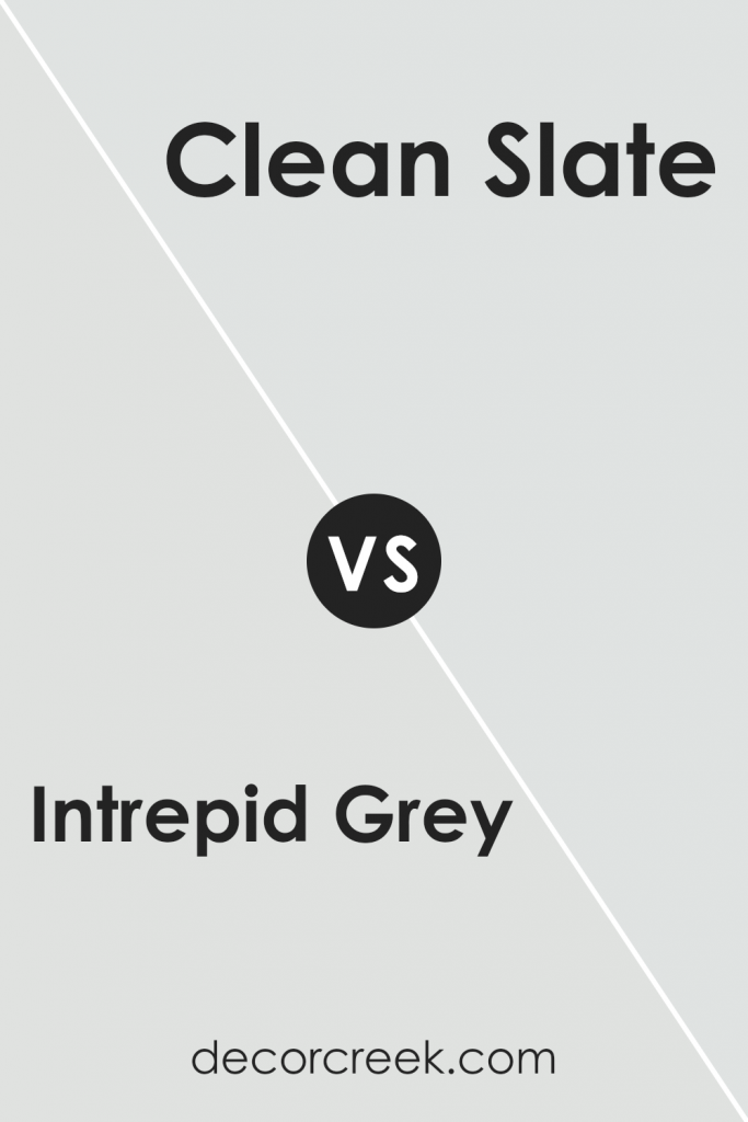 Intrepid Grey SW 9556 Paint Color by Sherwin Williams - DecorCreek
