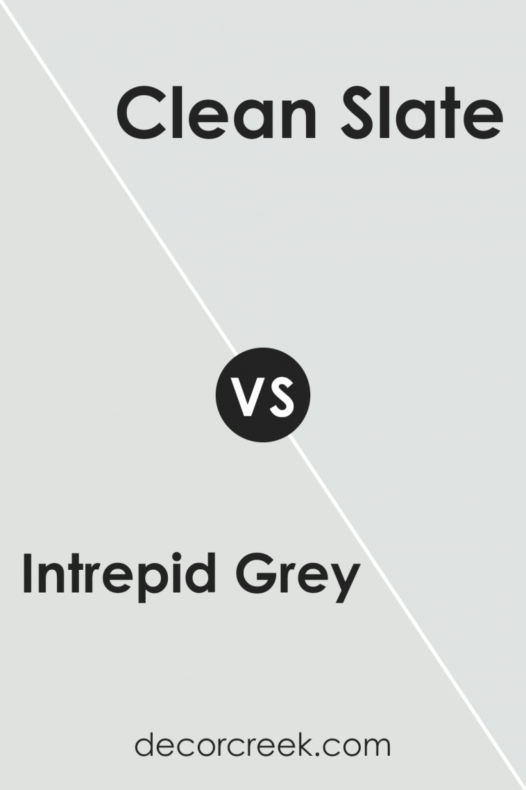 Intrepid Grey SW 9556 Paint Color by Sherwin Williams - DecorCreek