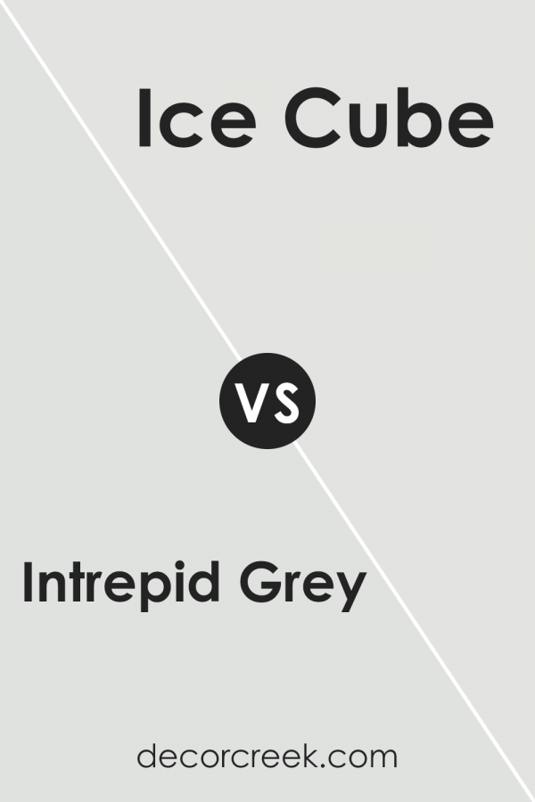 Intrepid Grey SW 9556 Paint Color by Sherwin Williams - DecorCreek