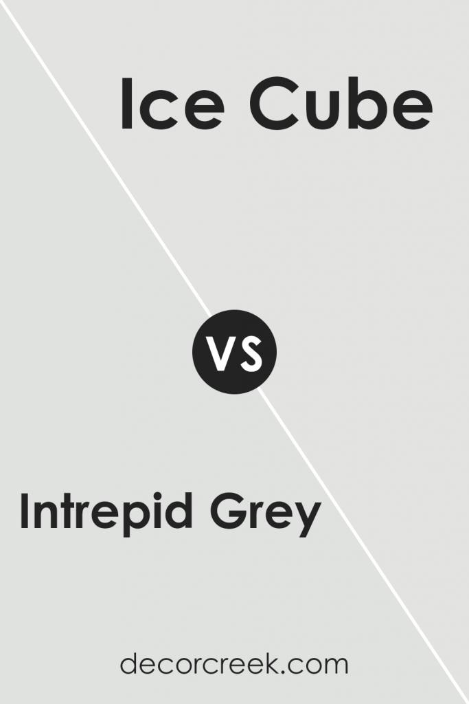 Intrepid Grey SW 9556 Paint Color by Sherwin Williams - DecorCreek