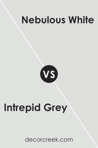 Intrepid Grey SW 9556 Paint Color by Sherwin Williams - DecorCreek