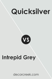 Intrepid Grey SW 9556 Paint Color by Sherwin Williams - DecorCreek