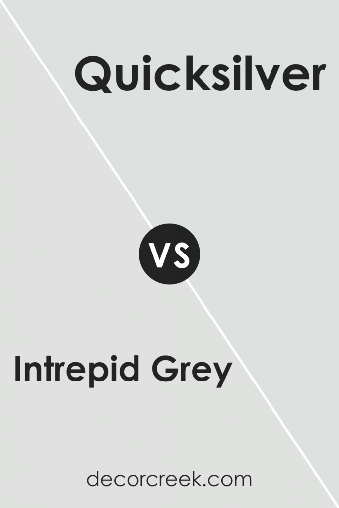 Intrepid Grey SW 9556 Paint Color by Sherwin Williams - DecorCreek