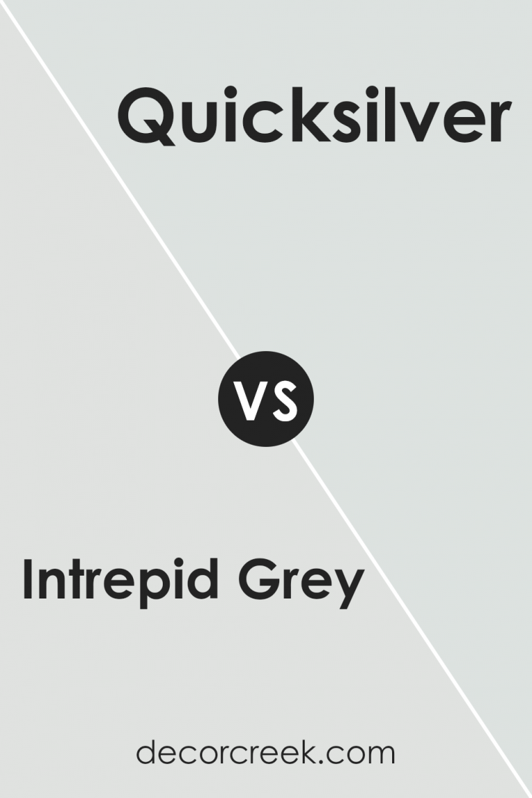 Intrepid Grey SW 9556 Paint Color by Sherwin Williams - DecorCreek