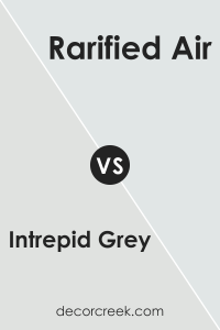 Intrepid Grey SW 9556 Paint Color by Sherwin Williams - DecorCreek