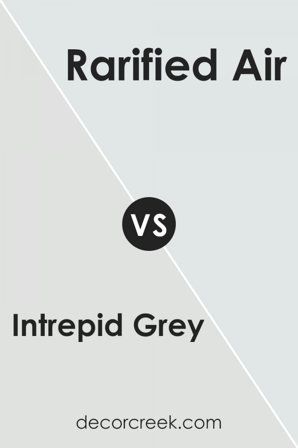Intrepid Grey SW 9556 Paint Color by Sherwin Williams - DecorCreek