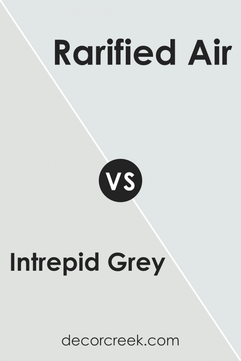 Intrepid Grey SW 9556 Paint Color by Sherwin Williams - DecorCreek