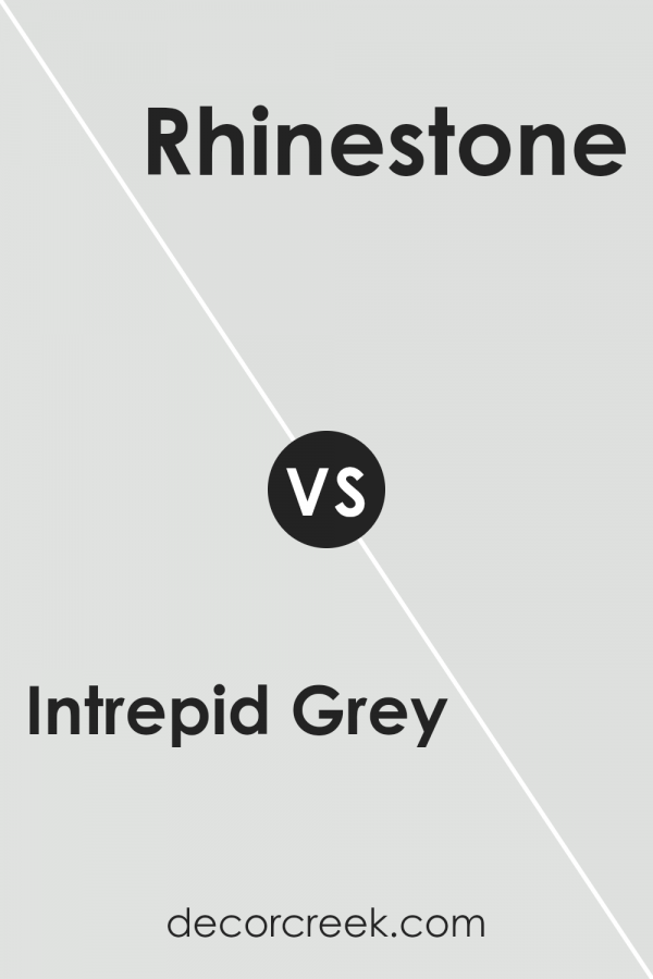 Intrepid Grey SW 9556 Paint Color by Sherwin Williams - DecorCreek