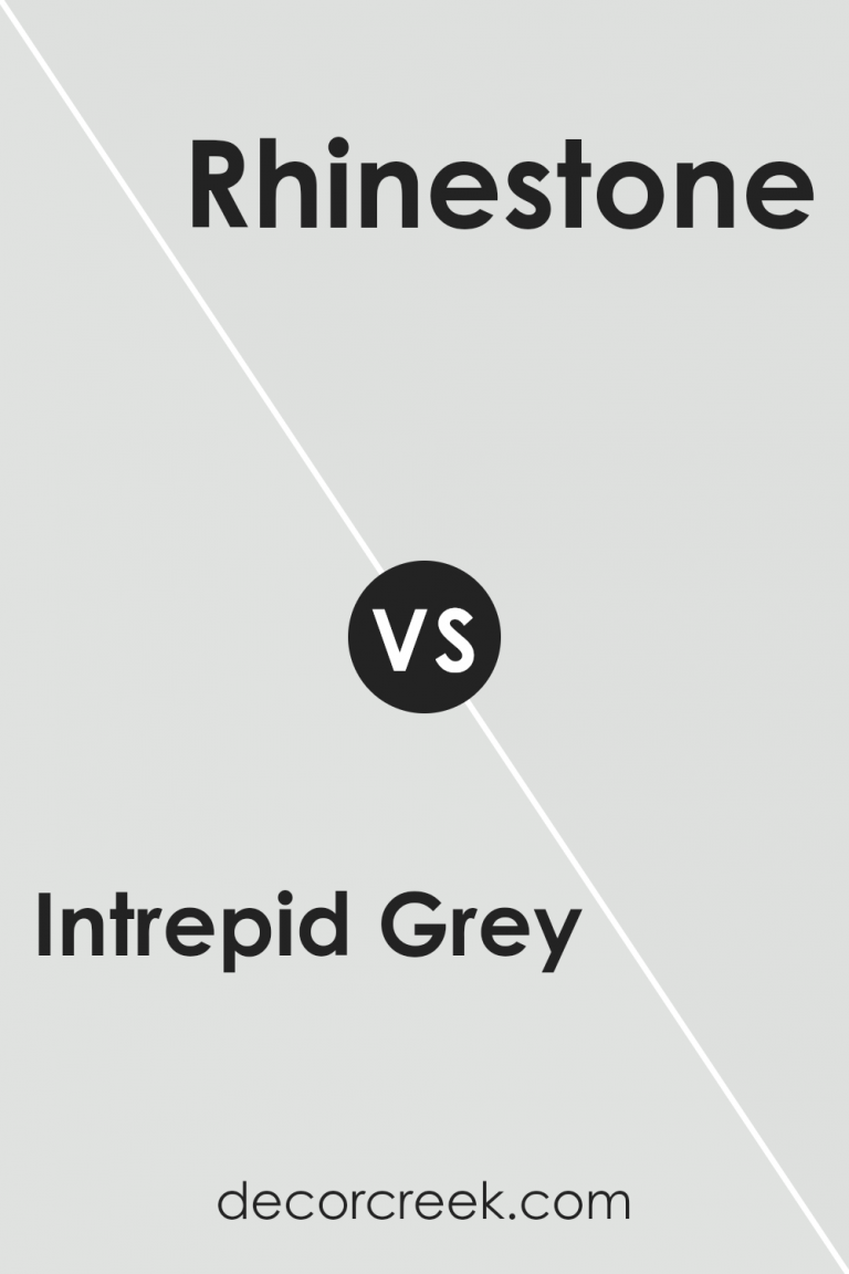 Intrepid Grey SW 9556 Paint Color by Sherwin Williams - DecorCreek