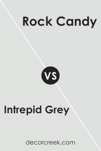 Intrepid Grey SW 9556 Paint Color by Sherwin Williams - DecorCreek