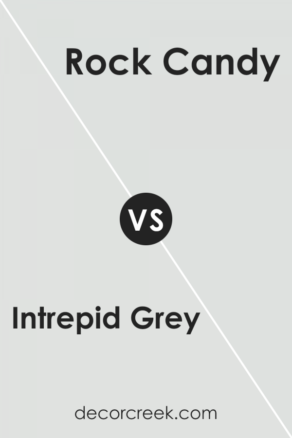 Intrepid Grey SW 9556 Paint Color by Sherwin Williams - DecorCreek