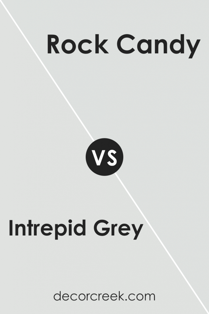 Intrepid Grey SW 9556 Paint Color by Sherwin Williams - DecorCreek