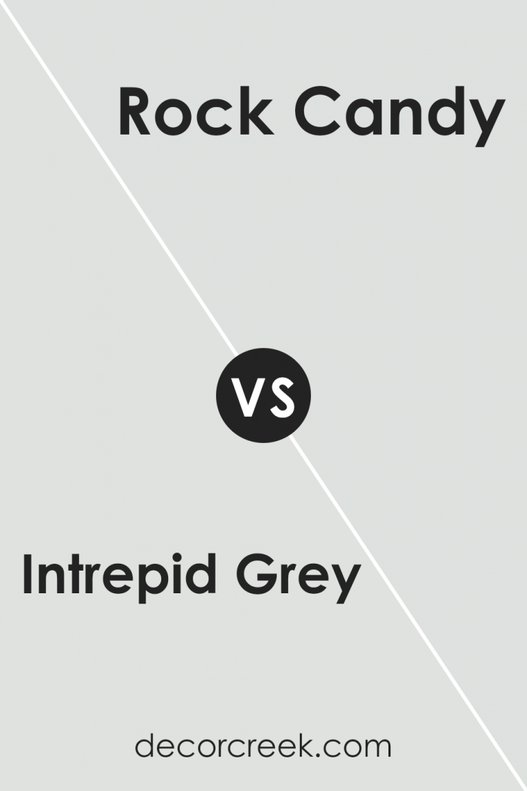 Intrepid Grey SW 9556 Paint Color by Sherwin Williams - DecorCreek