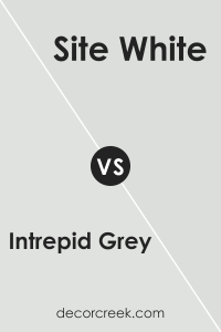 Intrepid Grey SW 9556 Paint Color by Sherwin Williams - DecorCreek