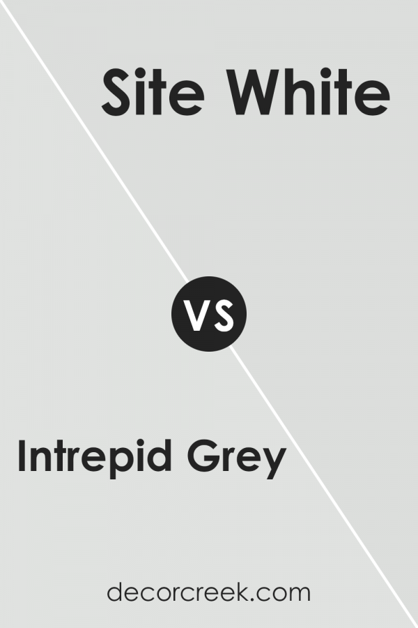Intrepid Grey SW 9556 Paint Color by Sherwin Williams - DecorCreek