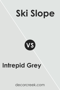 Intrepid Grey SW 9556 Paint Color by Sherwin Williams - DecorCreek