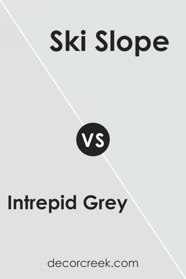 Intrepid Grey SW 9556 Paint Color by Sherwin Williams - DecorCreek