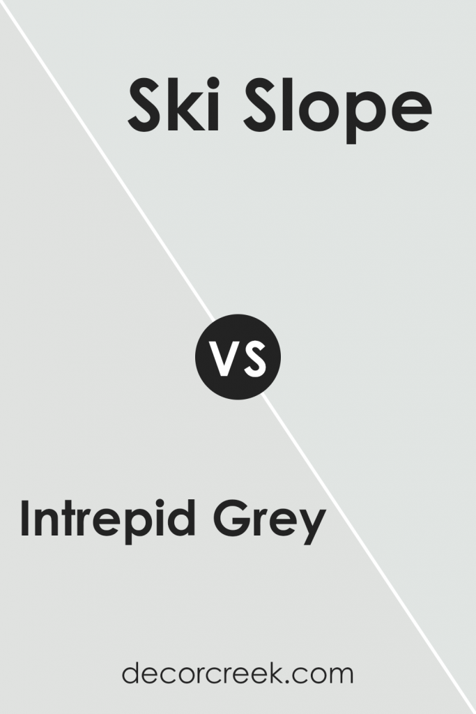 Intrepid Grey SW 9556 Paint Color by Sherwin Williams - DecorCreek