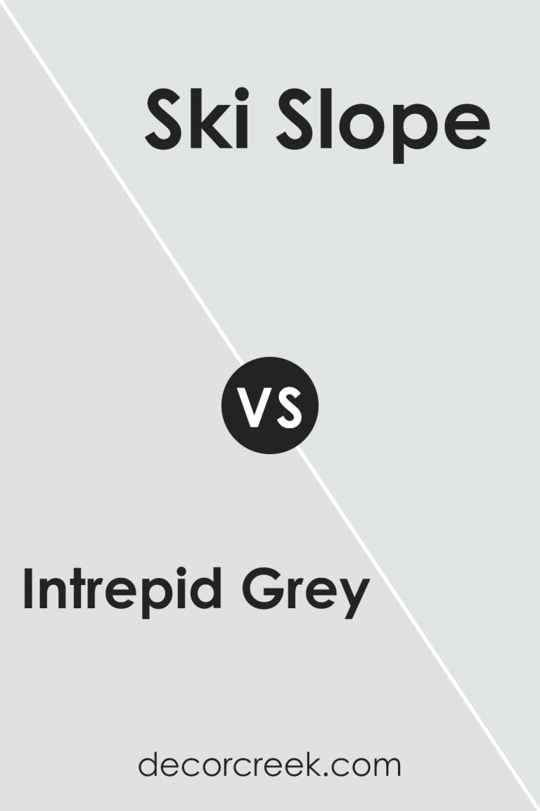 Intrepid Grey SW 9556 Paint Color by Sherwin Williams - DecorCreek
