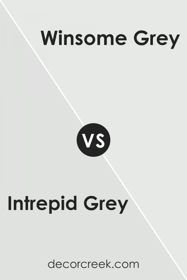 Intrepid Grey SW 9556 Paint Color by Sherwin Williams - DecorCreek