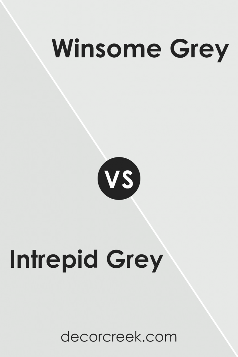 Intrepid Grey SW 9556 Paint Color by Sherwin Williams - DecorCreek