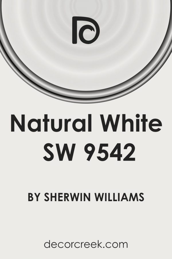 Natural White SW 9542 Paint Color by Sherwin Williams - DecorCreek