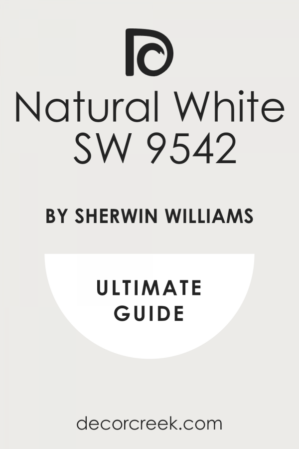 Natural White SW 9542 Paint Color by Sherwin Williams - DecorCreek