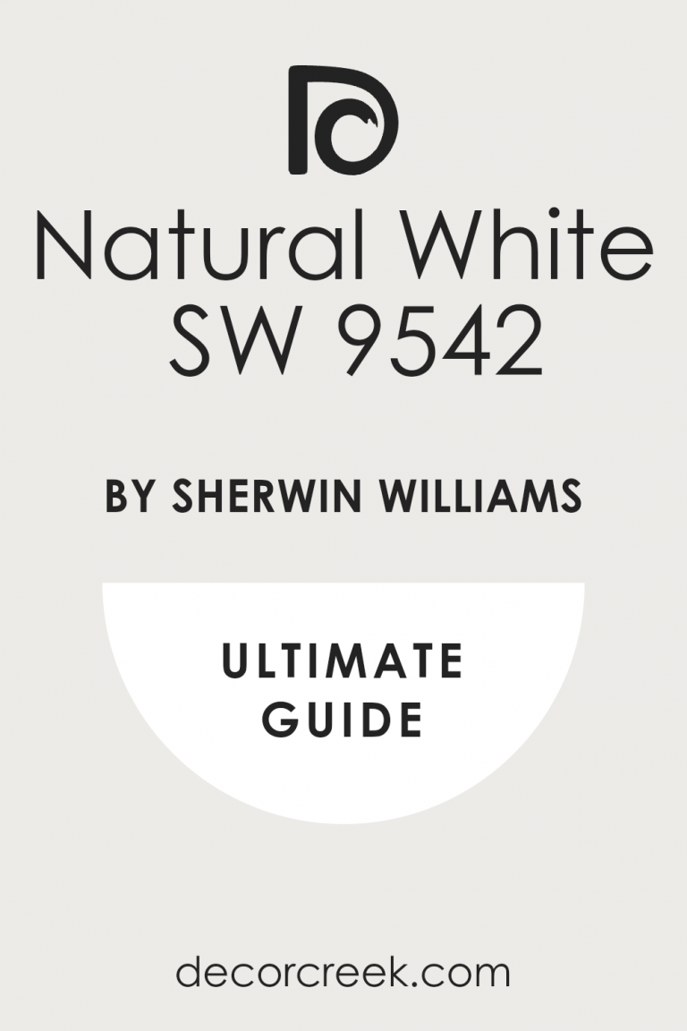 Natural White SW 9542 Paint Color by Sherwin Williams - DecorCreek