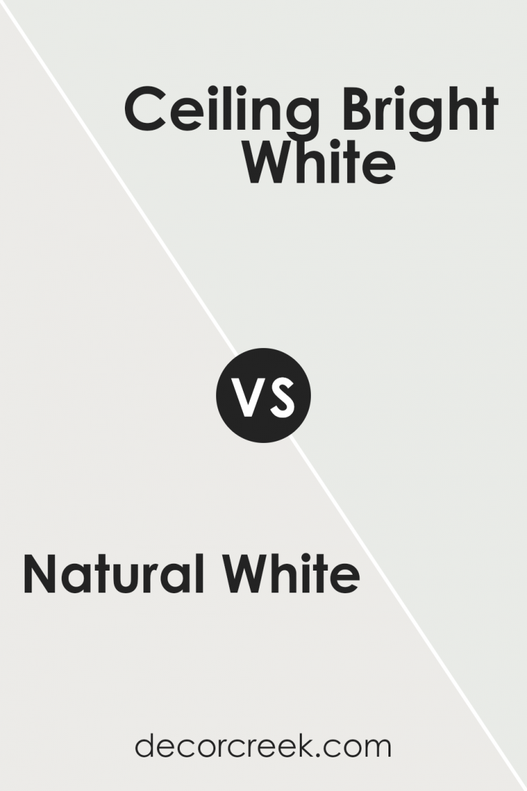 Natural White SW 9542 Paint Color by Sherwin Williams - DecorCreek