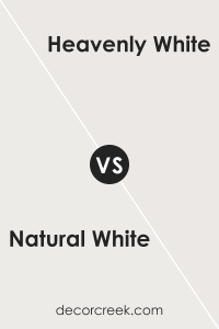 Natural White SW 9542 Paint Color by Sherwin Williams - DecorCreek