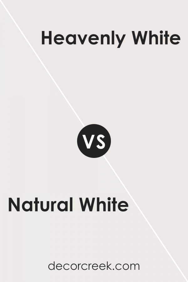 Natural White SW 9542 Paint Color by Sherwin Williams - DecorCreek