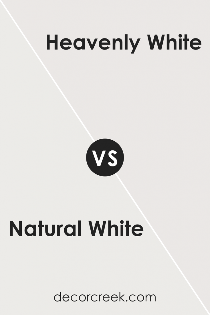Natural White SW 9542 Paint Color by Sherwin Williams - DecorCreek