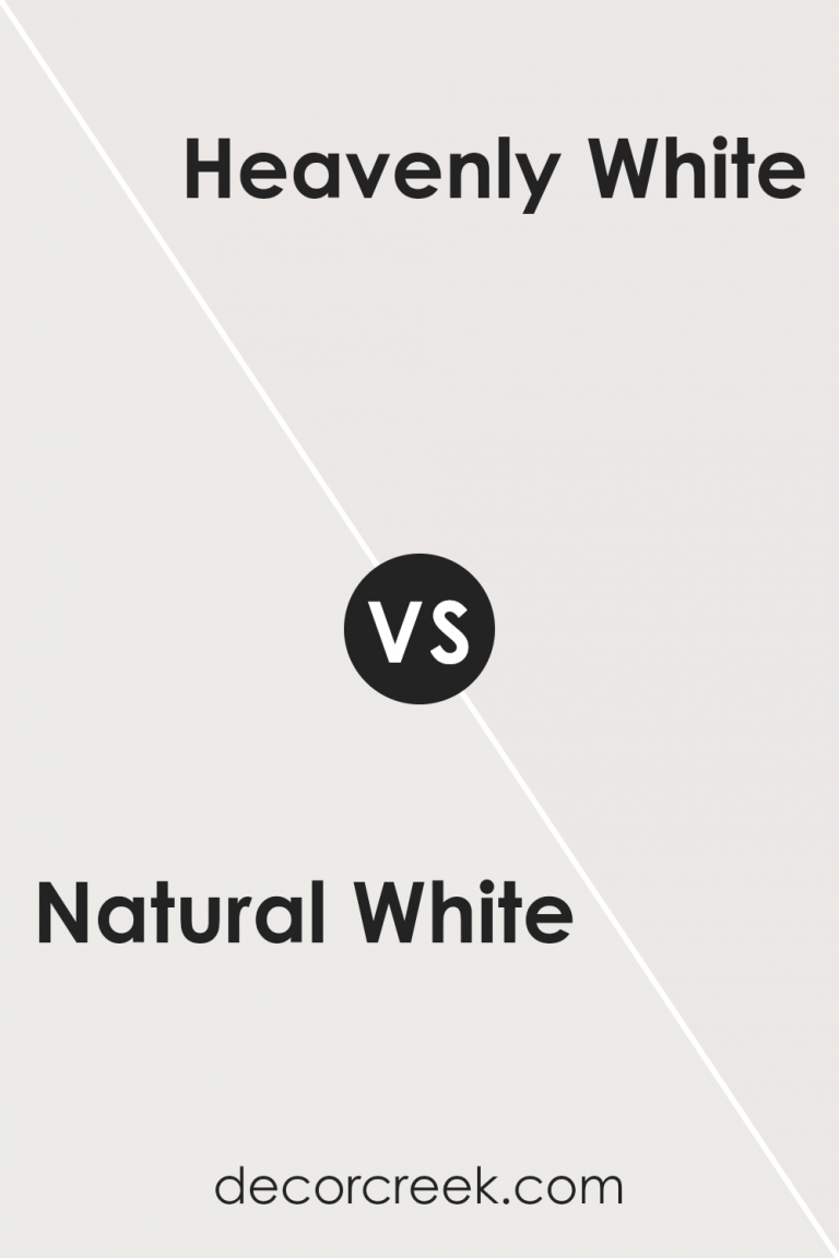 Natural White SW 9542 Paint Color by Sherwin Williams - DecorCreek