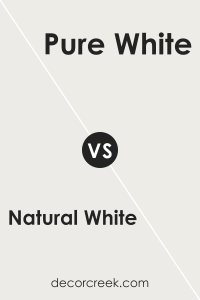 Natural White SW 9542 Paint Color by Sherwin Williams - DecorCreek