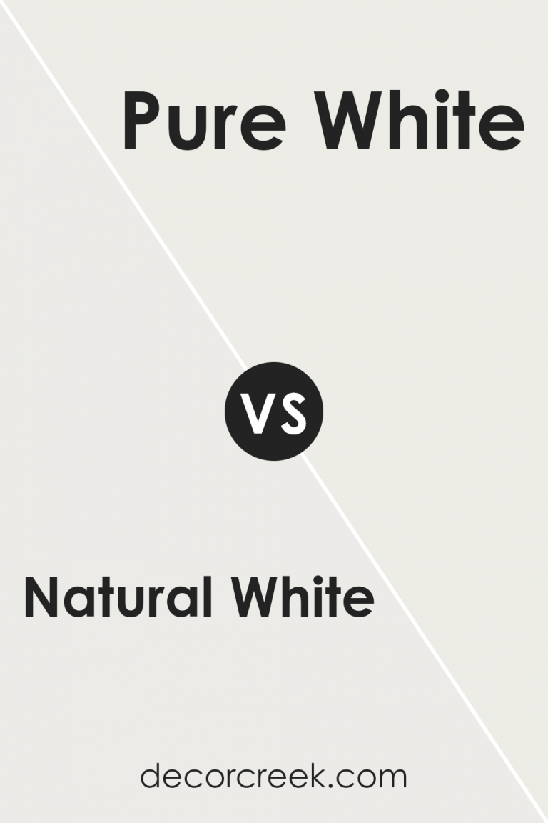 Natural White SW 9542 Paint Color by Sherwin Williams - DecorCreek