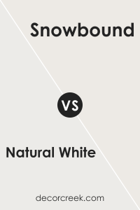 Natural White SW 9542 Paint Color by Sherwin Williams - DecorCreek