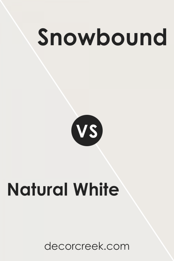 Natural White SW 9542 Paint Color by Sherwin Williams - DecorCreek